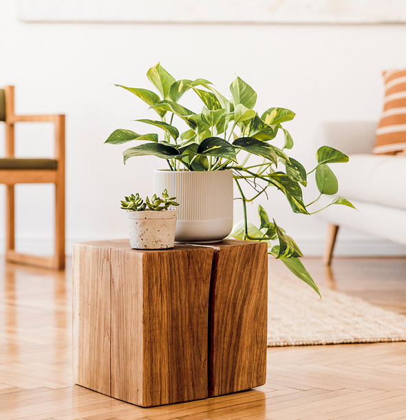 Premium Luxury Flooring Product & Micro Concrete | Products